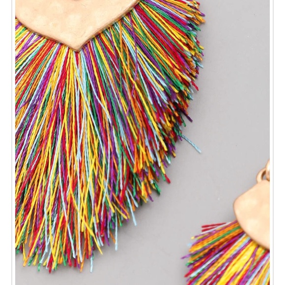 Jewelry | Multi Color Fringe Earrings | Poshmark